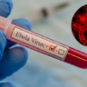 Comprehensive Study Notes on Ebola Virus Disease (EVD) for UPSC, SSC ...
